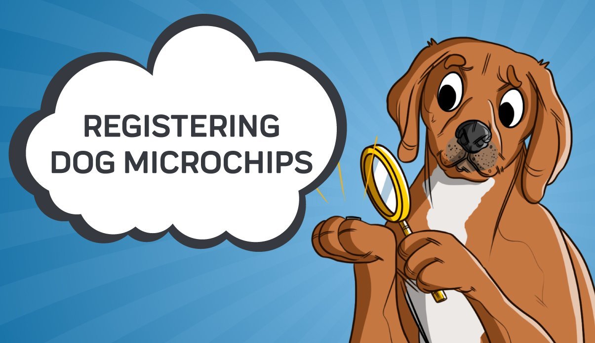 Registering Dog Microchips – Innovet Pet