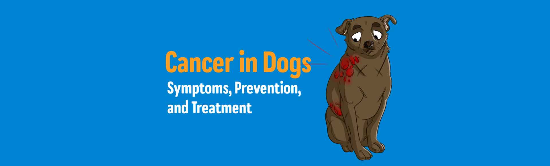 Cancer in Dogs: Types, Symptoms, Prevention, and Treatment – Innovet Pet