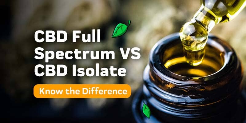 Full Spectrum CBD VS CBD Isolate – Innovet Pet